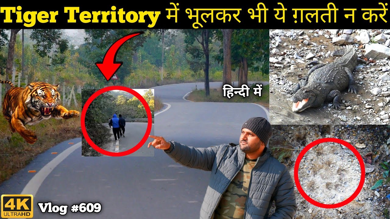 Tiger Territory Please Don't Do This | Jim Corbett National Park ...