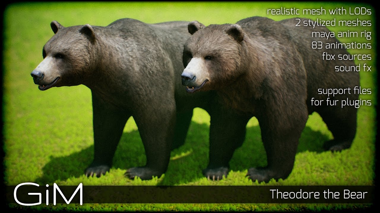 Animals - Theodore the Bear - YouTube