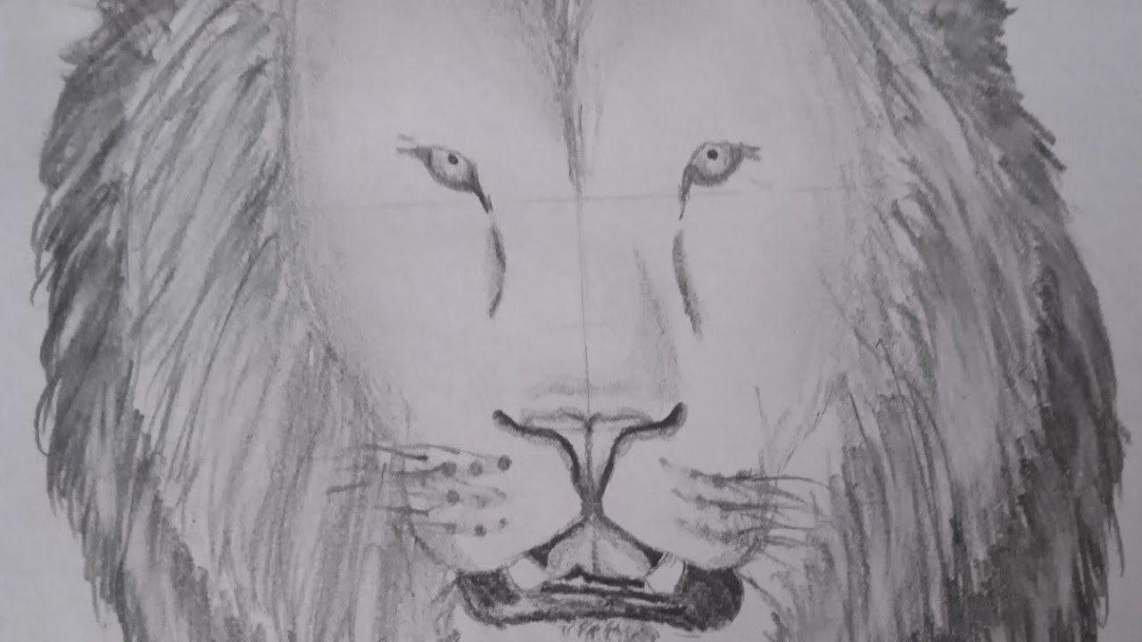 Wild theme drawing part 1 - YouTube