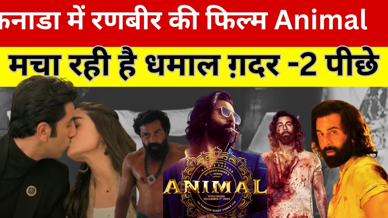 Animal movie review public reaction | रणबीर कपूर |public reaction ...