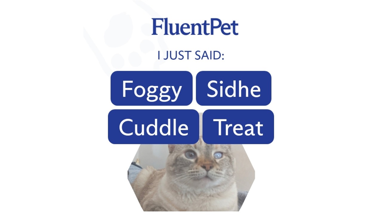 Cuddle Treat! - YouTube