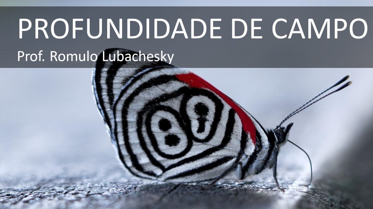 PROFUNDIDADE DE CAMPO - Trecho do Workshop - YouTube
