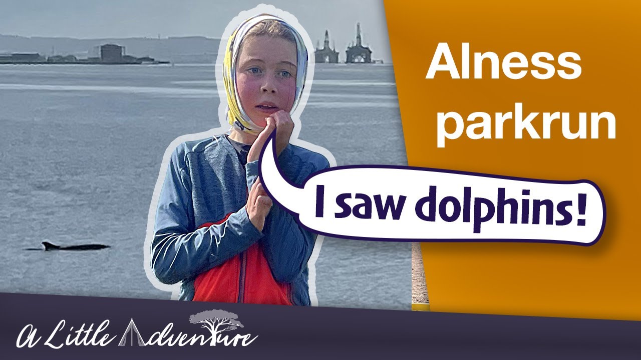 Running with Dolphins 🐬 🏃‍♀️ Our Unforgettable Alness parkrun - YouTube