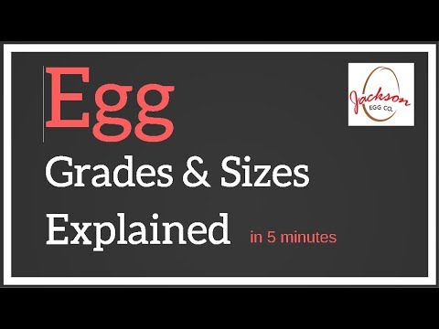 Understanding Egg Grades and Their Culinary Relevance - The Kitchen ...