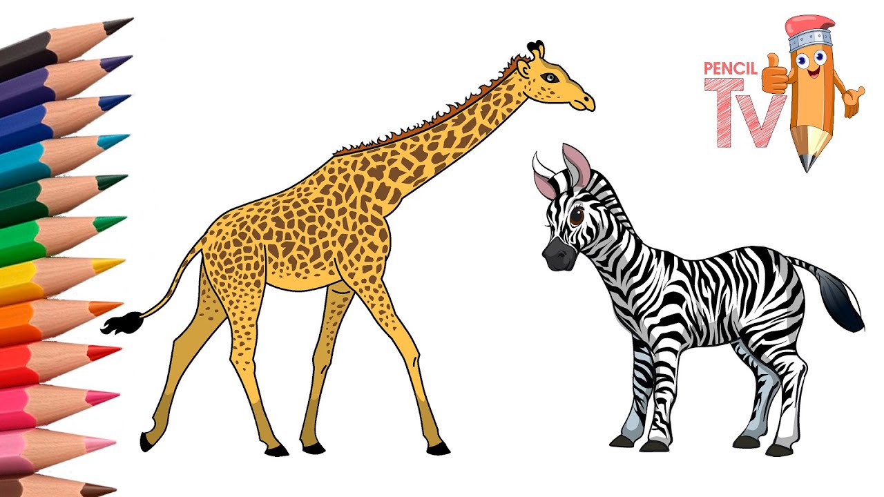 How to draw African animals in 5 easy steps? - YouTube