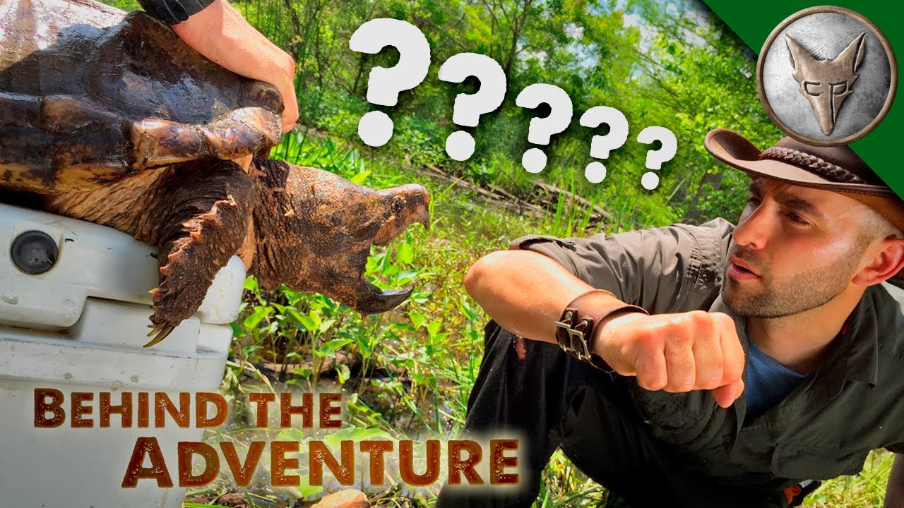 Brave Wilderness | Why I Let a Snapping Turtle Bite Me - YouTube