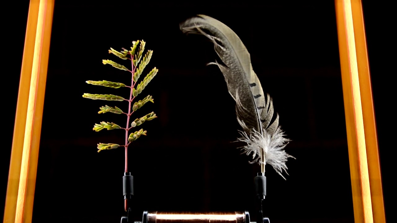 Slow Dance Frame - YouTube