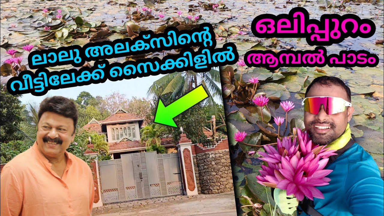 Morning Cycle Ride | ഒലിപ്പുറം ആമ്പൽ പാടം | Actor Lalu Alex House - YouTube