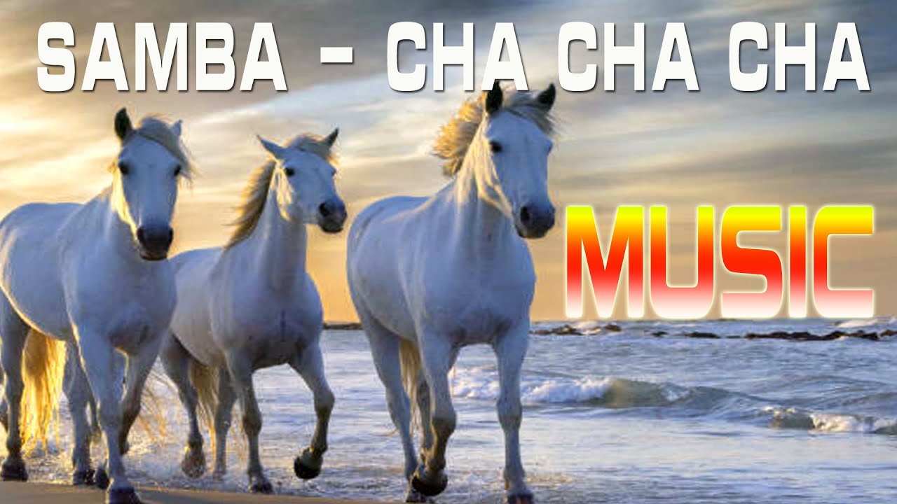 SAMBA - CHA CHA CHA | Best 10 Instrumentals Relax Music 2023 - YouTube