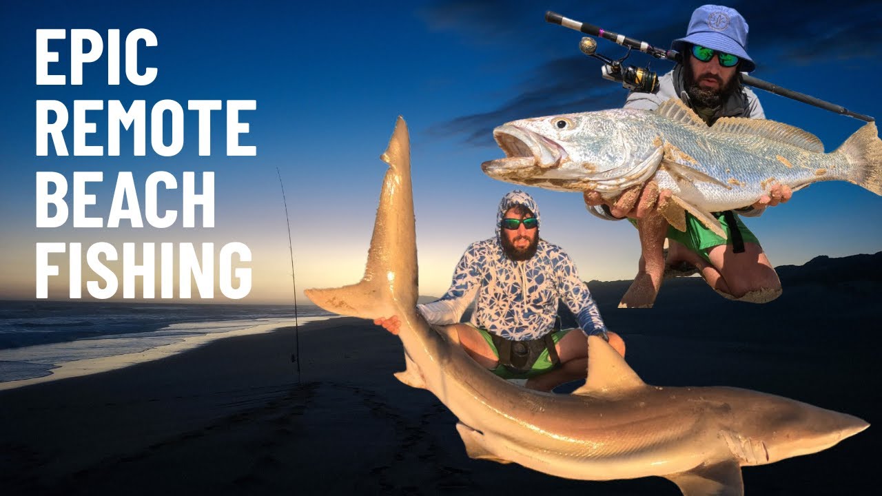 Fishing at Addo Elephant National Park - Kob and Sharks - YouTube