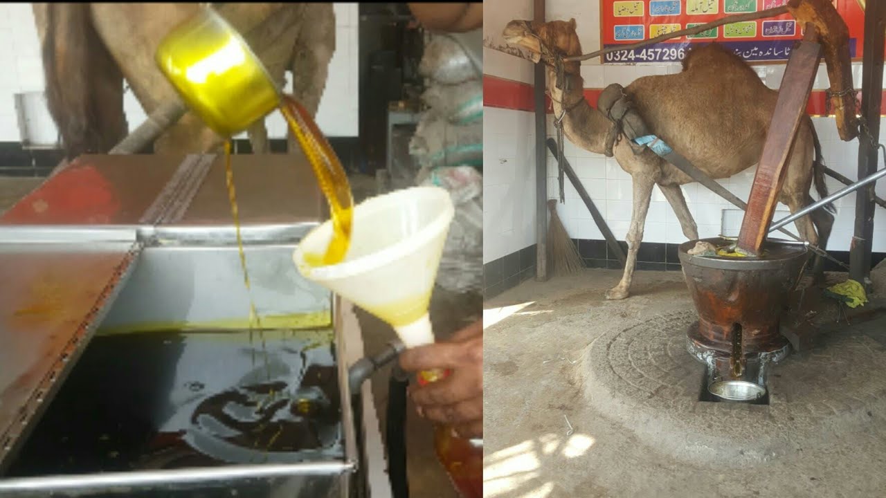 How To Make Mini Mustard Oil || Mustard oil Machine || Serso oil - YouTube