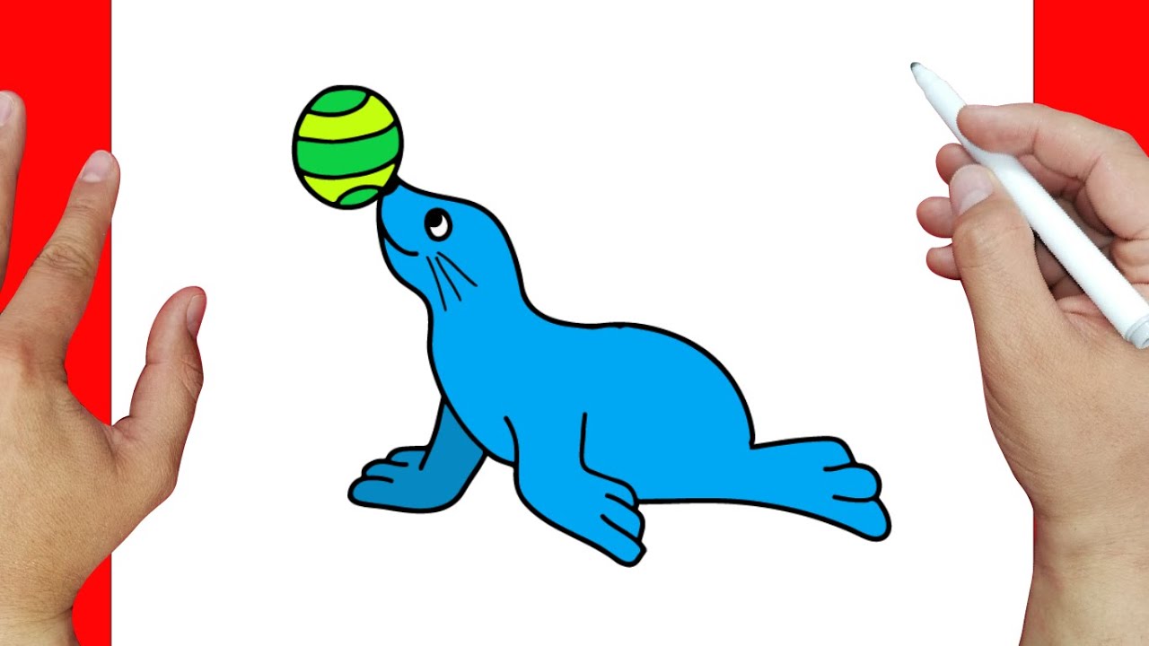 como dibujar una foca | Dibujos fáciles - YouTube