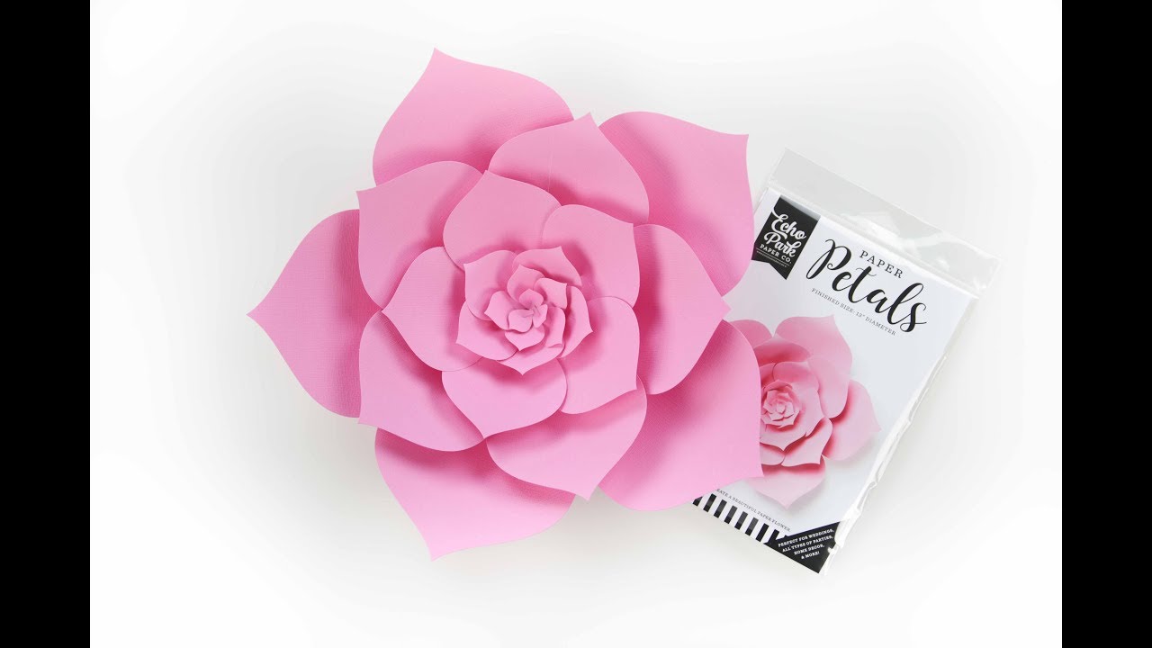 Paper Petals Basics YouTube Paper Petals Basics YouTube