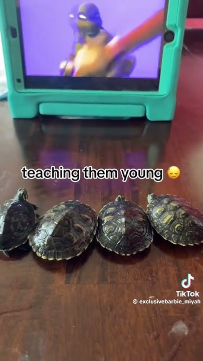 Why did this make me laugh so hard? - YouTube