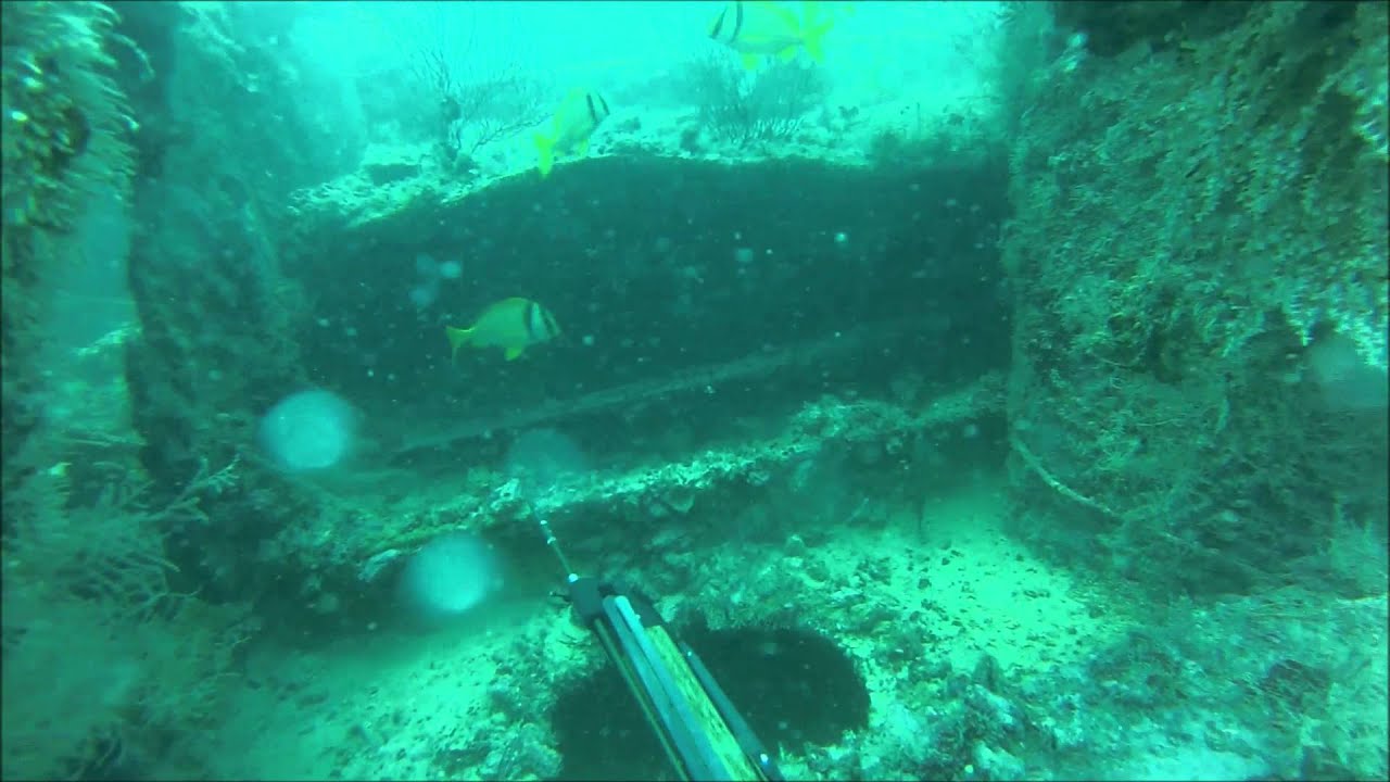 Dive Lee County Reefs - YouTube