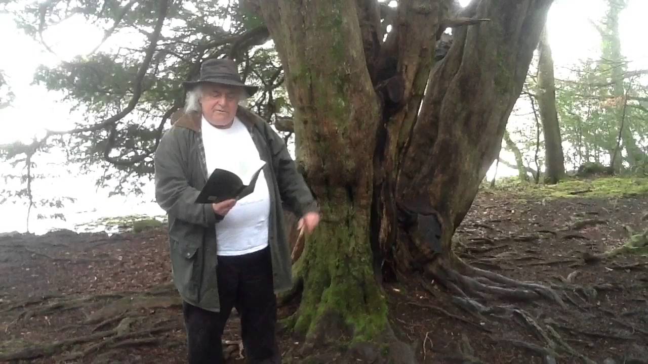 Ioho The Yew performed by Woodland Bard - YouTube