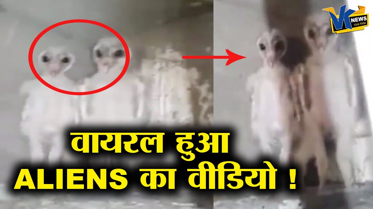 कैमरे में कैद हुए एेलियन्स, वायरल हुआ वीडियो || Video of 'Aliens' Gone ...
