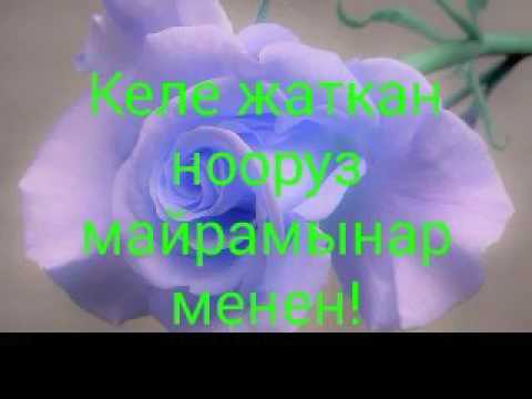 Navroz bayram