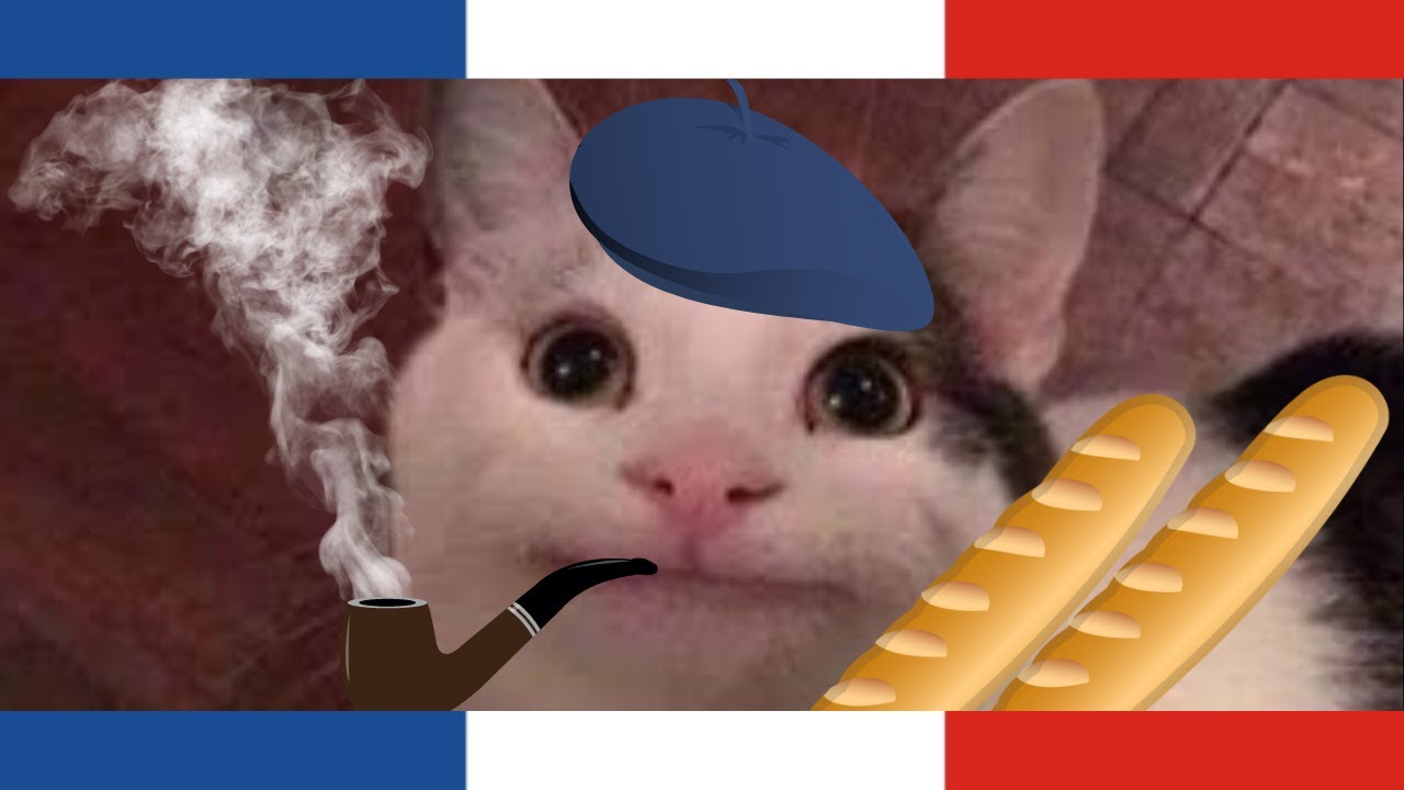 Présentation de ma chaîne YOUTUBE BELUGA FR - YouTube