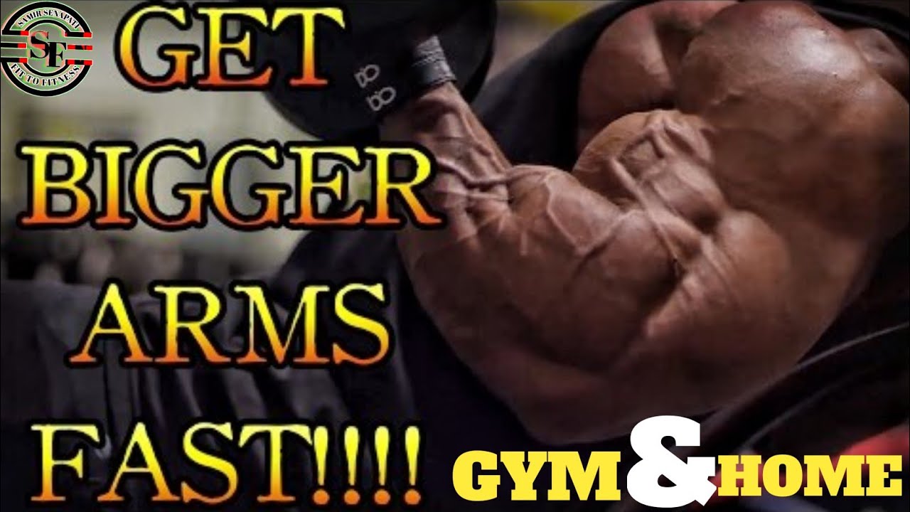 THE TRUTH ABOUT BUILDING BIG ARMS: Home vs. Gym Exercises - YouTube