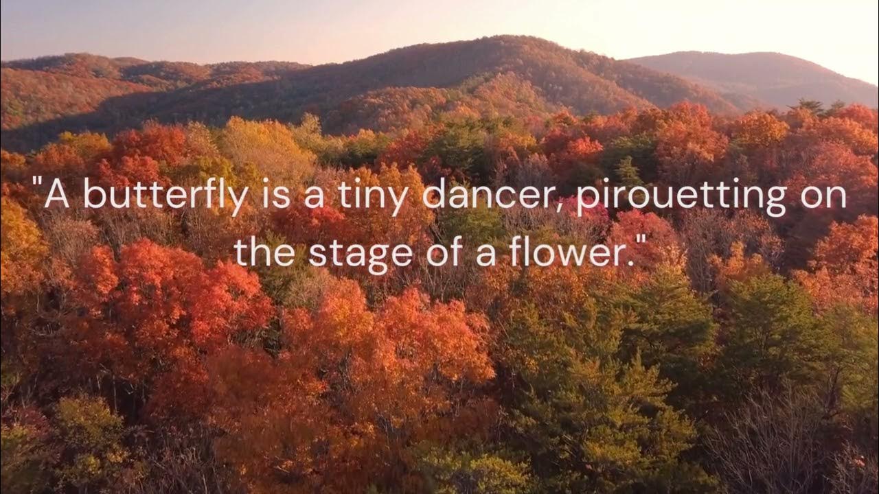 The Elemental Dance: Fire and Water in Nature - YouTube