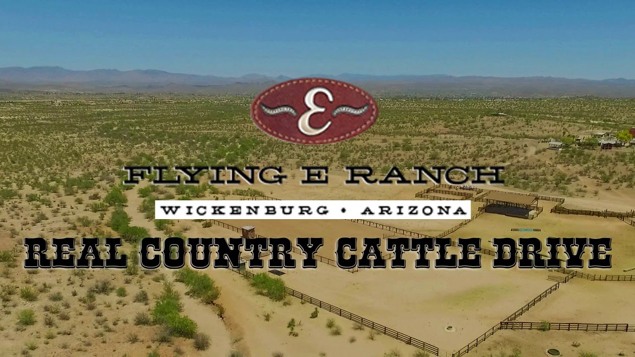 Flying E Ranch Real Country Cattle Drive - YouTube