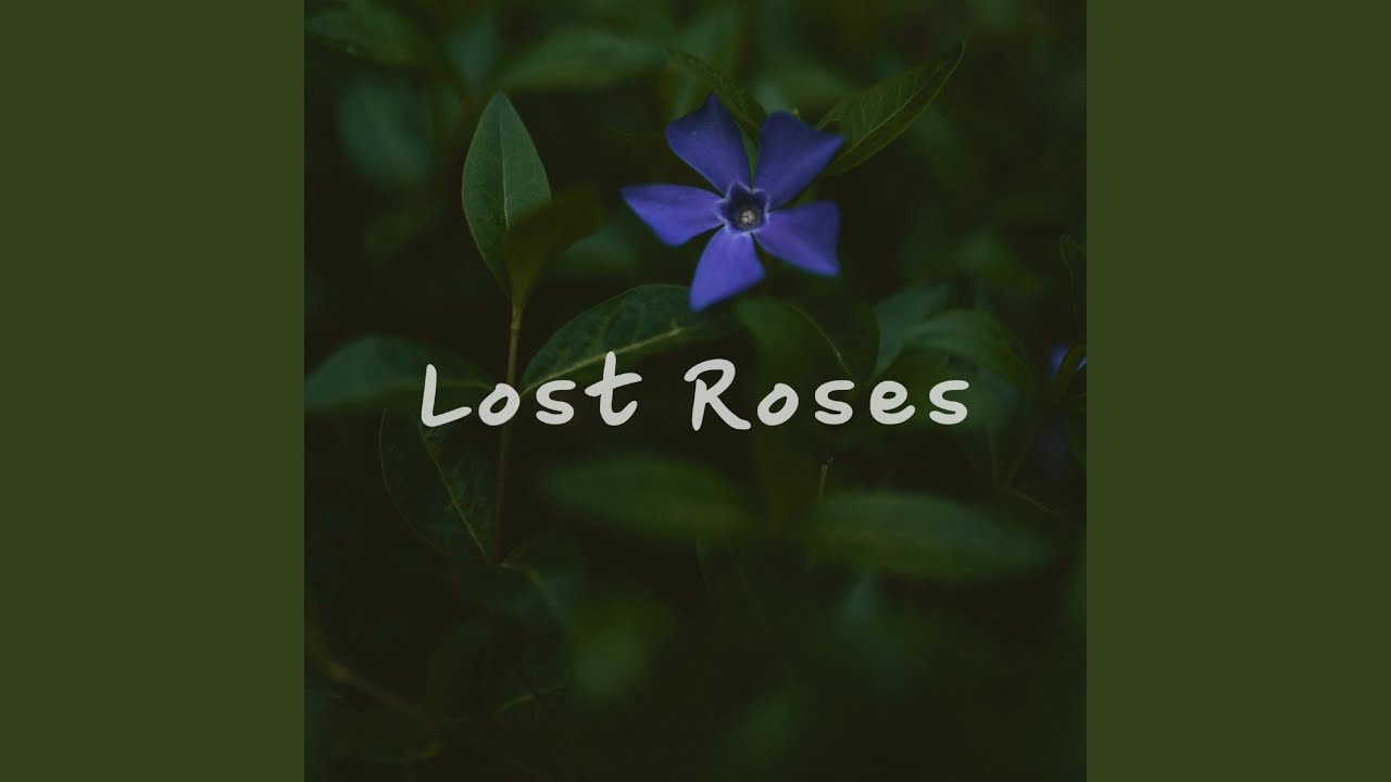 Lost Roses - YouTube