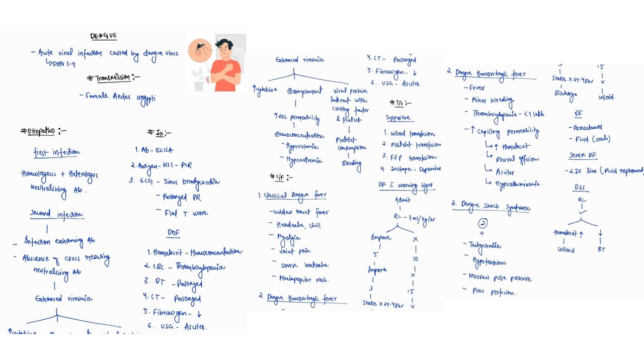 DENGUE NOTES | INFECTIOUS DISEASE | MEDICINE | ONE PAGE NOTES | 4TH ...
