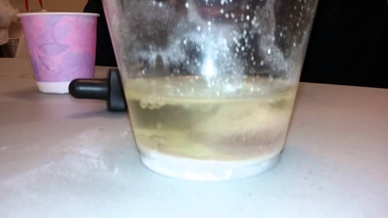Kids science_ Fun Projects with Kool Aid_ Easy Science Project - YouTube