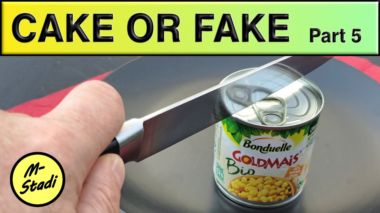 Cake or Fake Challenge Part 5 - YouTube