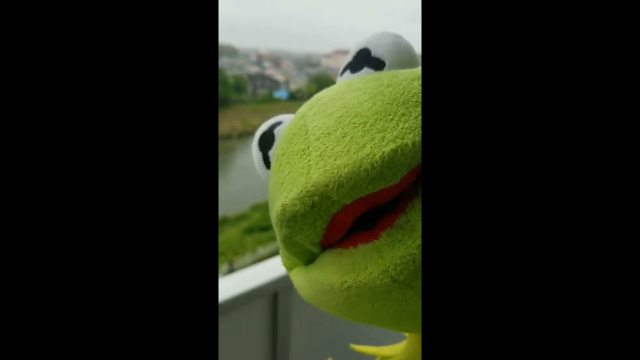 Kermit Singing in the Rain - YouTube