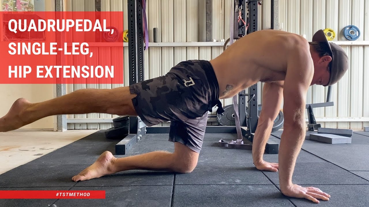 Quadrupedal, Single-Leg, Hip Extension - YouTube