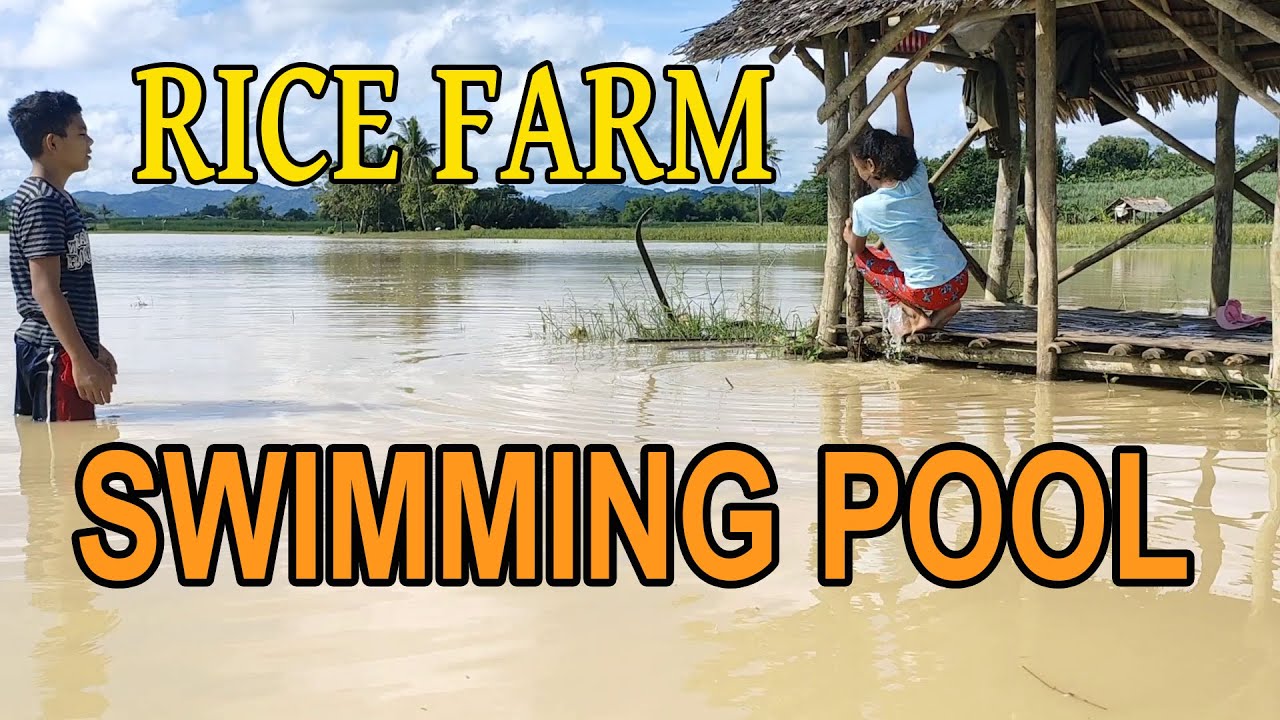 SWIMMING POOL SA PALAYAN, MAY NATIRA PA NAMAN, - YouTube