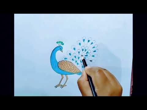 How to draw a peacock step by step || peacock drawing for beginners ...