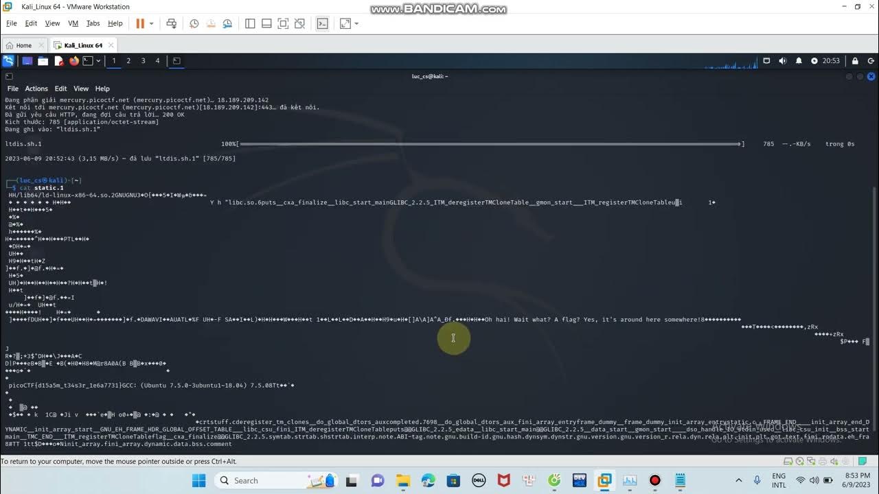 picoCTF_ Static ain't always noise by phan dinh luc - YouTube