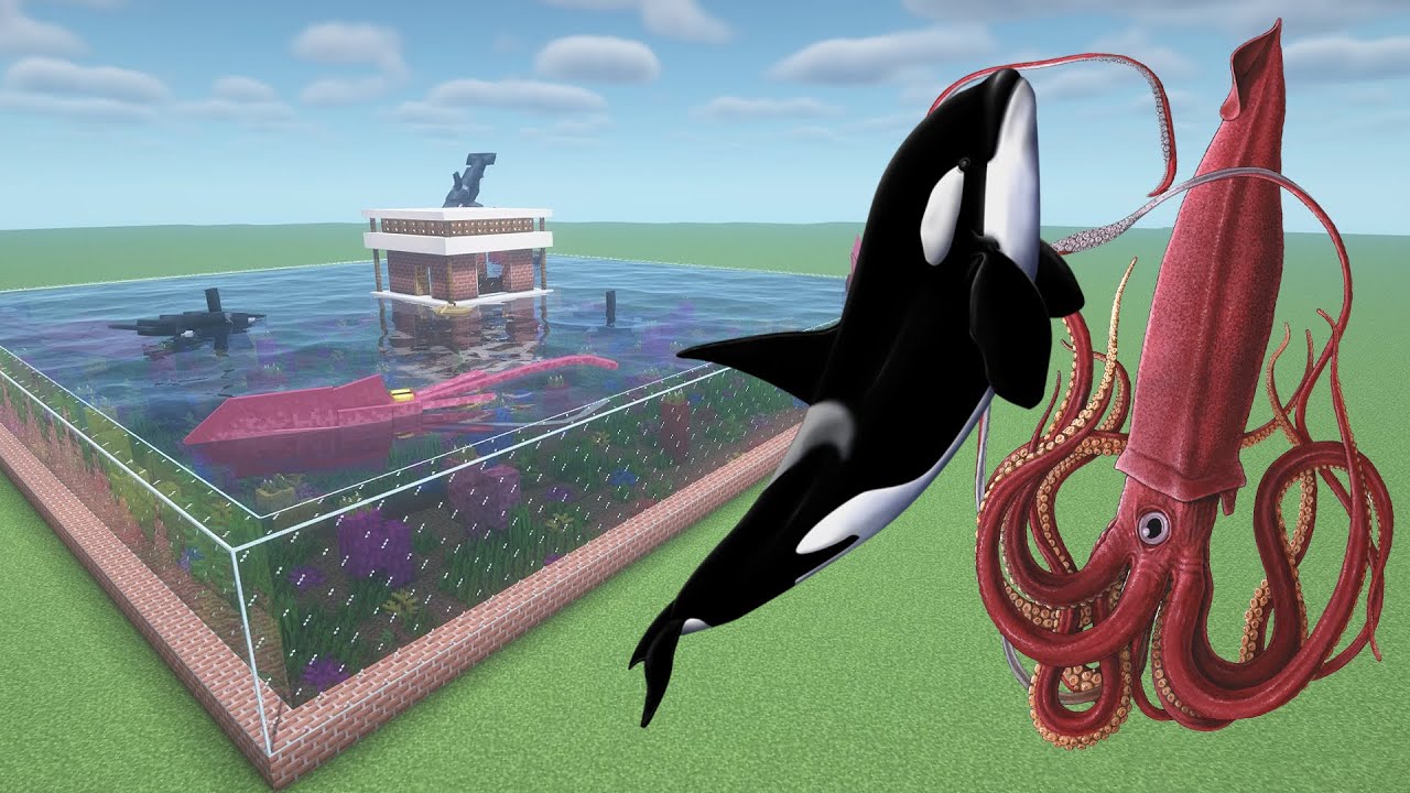 How To Make a Kraken and Orca Farm in Minecraft PE - YouTube
