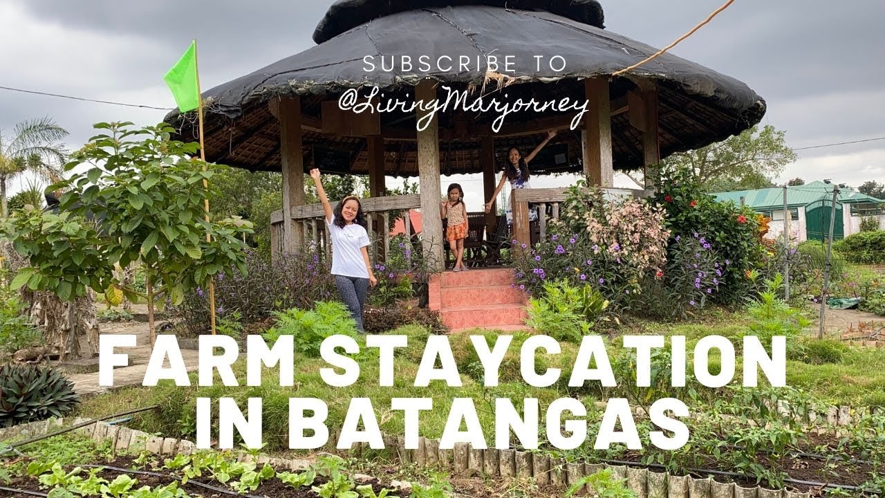 FARM VISIT in KAHARIAM Farm! About BSF or Black Soldier Fly - YouTube