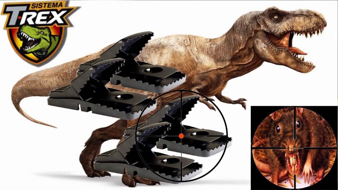 TRAMPA TIPO T-REX PARA RATAS - YouTube