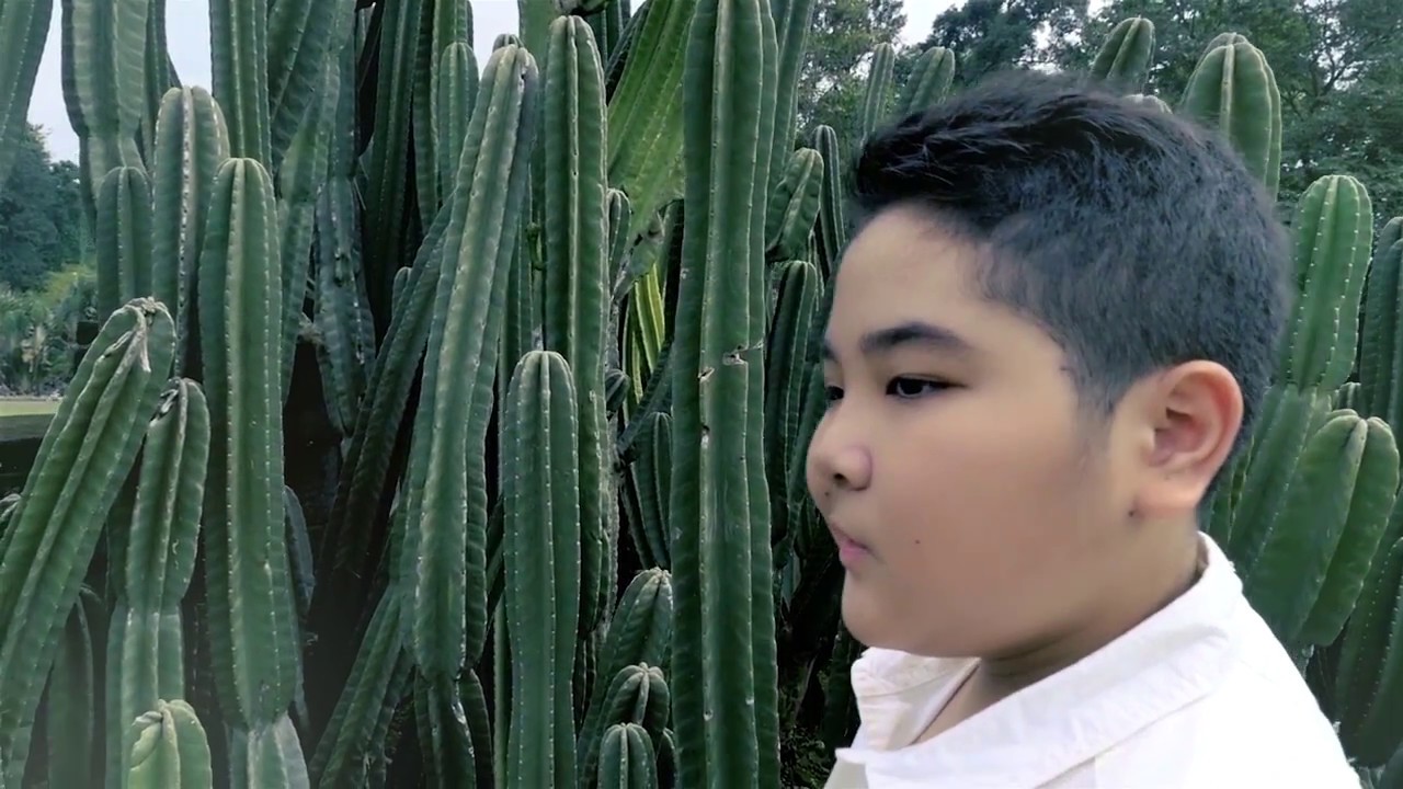 Story Of Life - Ryan Chandra Widjaja - Official Music Video - YouTube