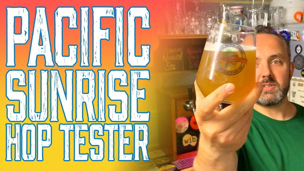The most disappointing NZ Hop I have tried - Pacific Sunrise Hop Tester ...