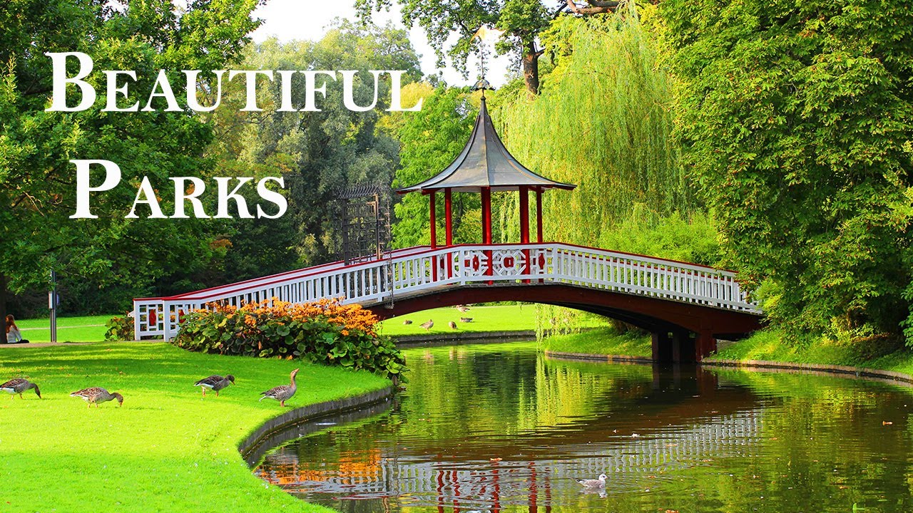 Parks with Amazing Nature Scenery & Relaxing Music Video for Stress ...