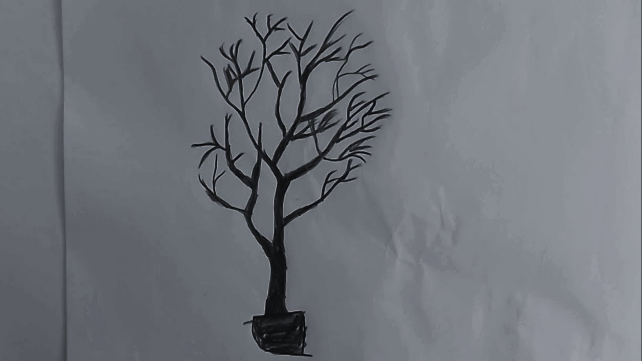 How to draw a Tree without Leaves || step by step Drawing - YouTube