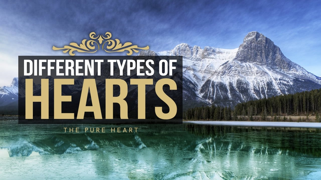 The Different Types Of Hearts YouTube the-different-types-of-hearts-youtube