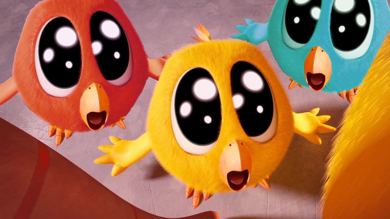 Where's Chicky? Funny Chicky 2022 🌈 LITTLE CHICKIES | Cartoon in ...