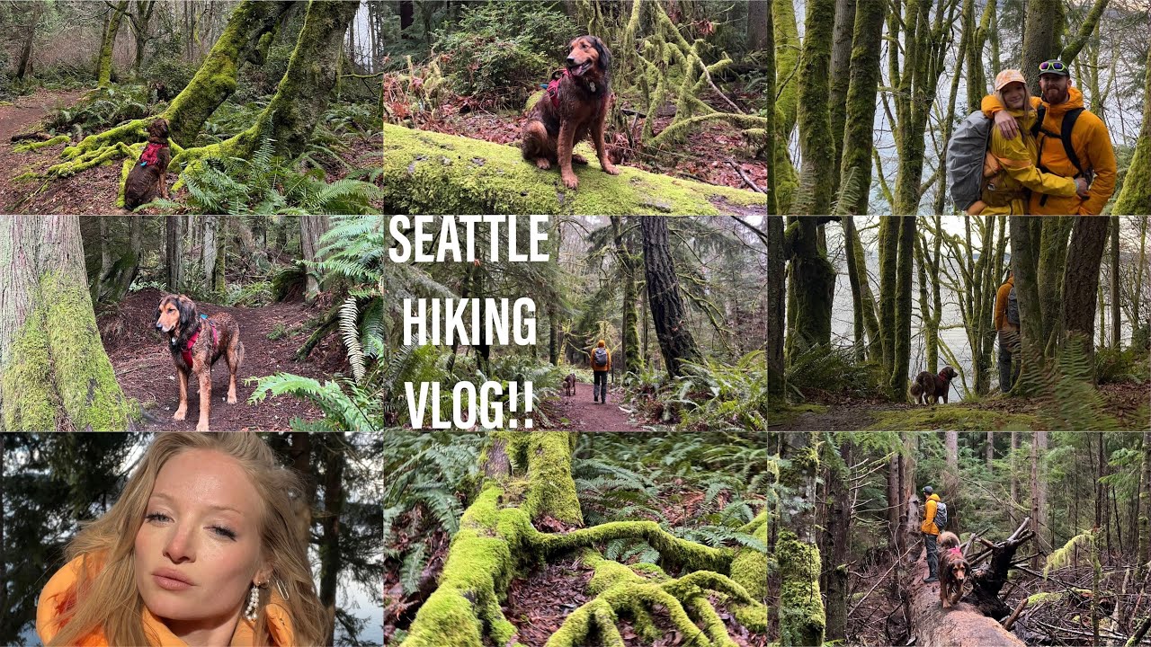Come hiking with me! - YouTube