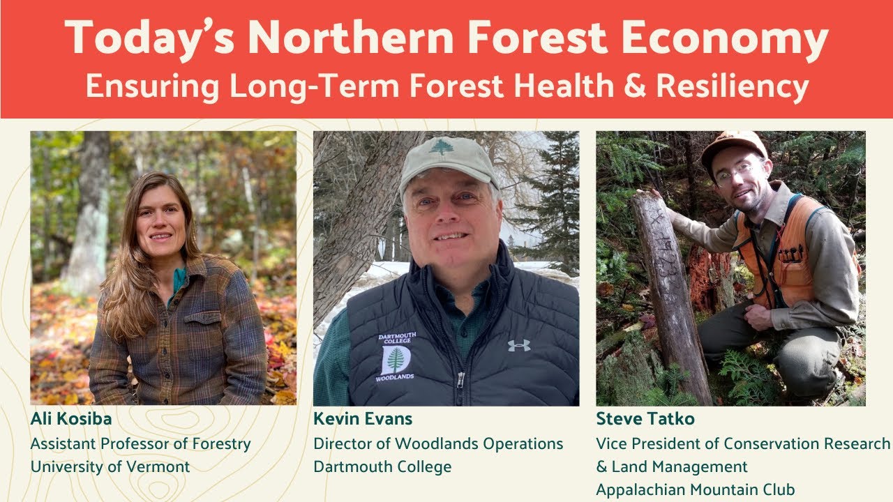 Building the New Forest Future - Ensuring Long-Term Forest Health and ...