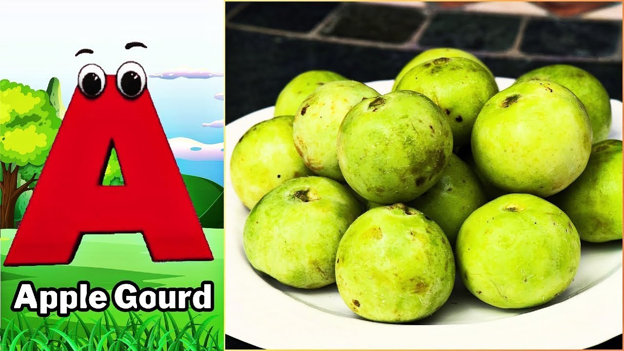 ABC - Alphabet Song - ABC Song - Collection - 2024 #1565 - YouTube