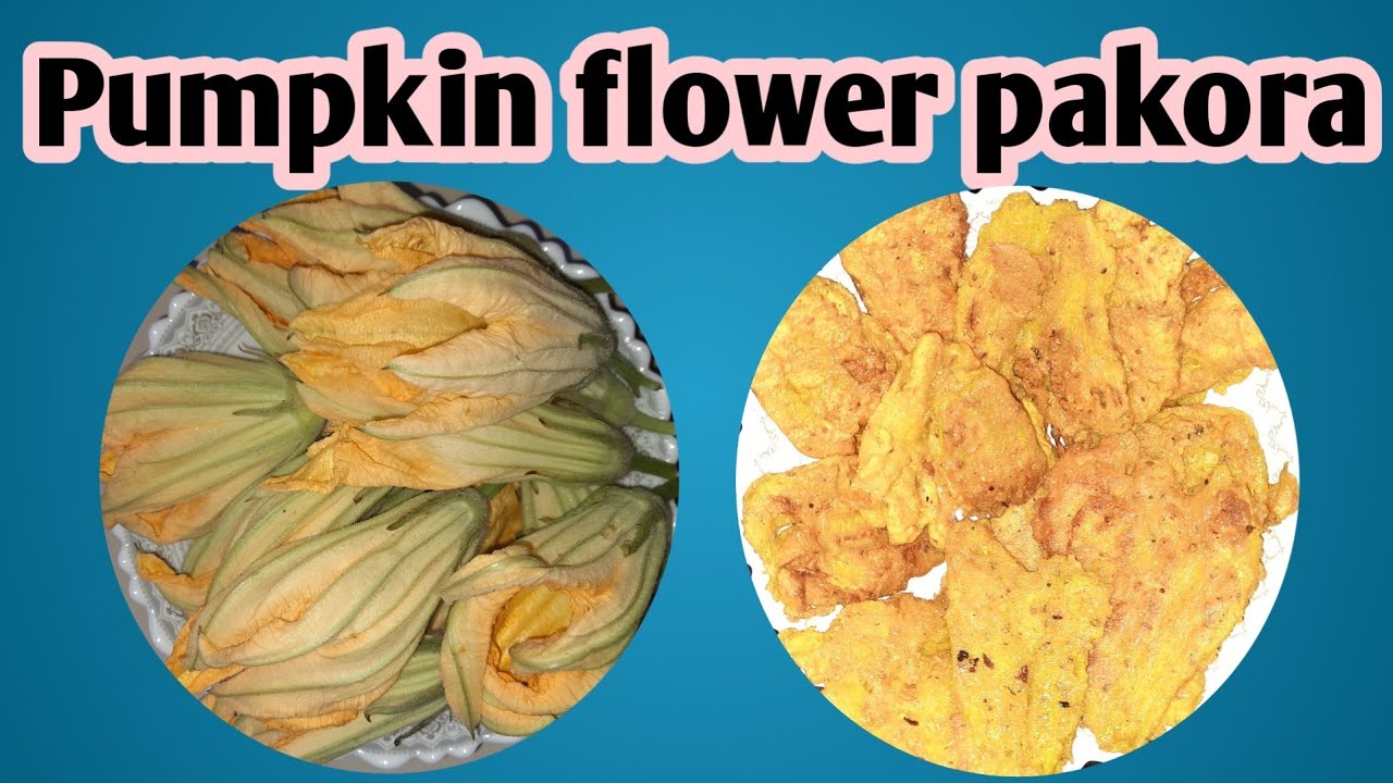 Pumpkin flower pakora | Kaddu Ke Phool Ke Pakora | Kumro Phool Pakode ... Pumpkin flower pakora | Kaddu Ke Phool Ke Pakora | Kumro Phool Pakode ...