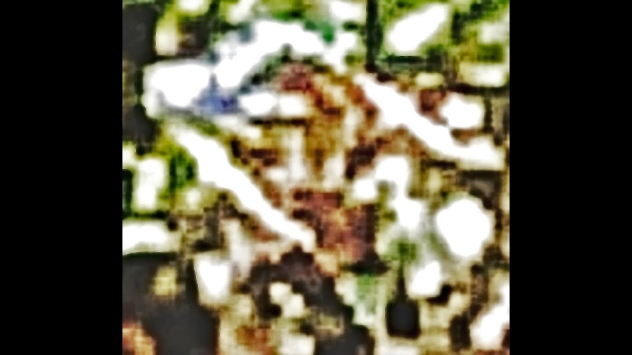 The Reality of Sasquatch in the Pacific Northwest - YouTube