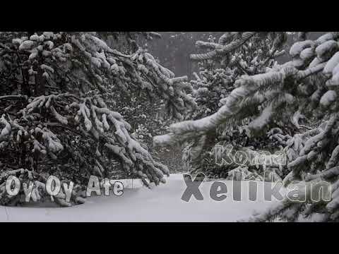 Koma Xelikan - Oy Oy Ate